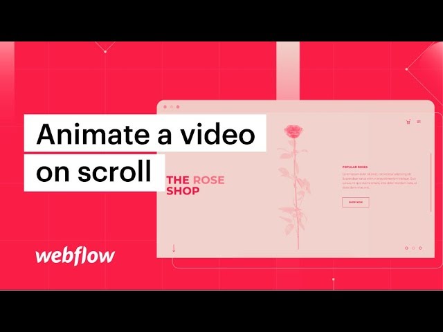 How to animate a video on scroll — After Effects & Lottie in Webflow - Web design Club